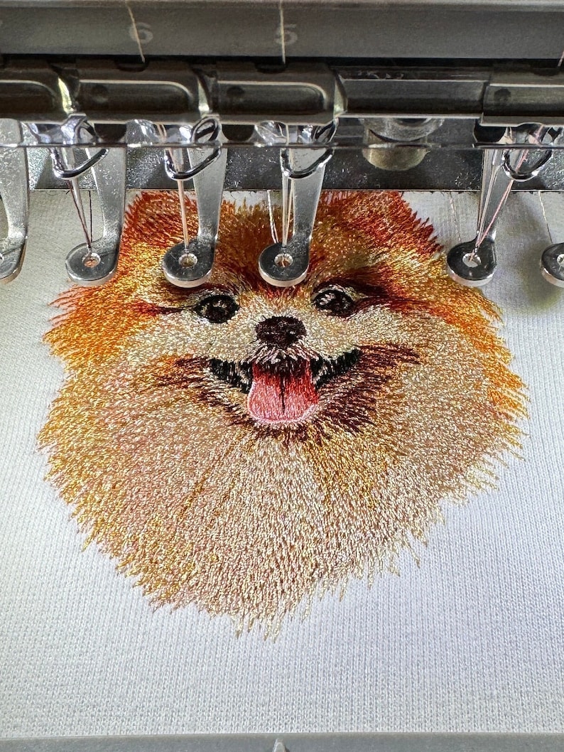 CUTE REALISTIC POMERANIAN Machine Embroidery Design - Instant Download ...
