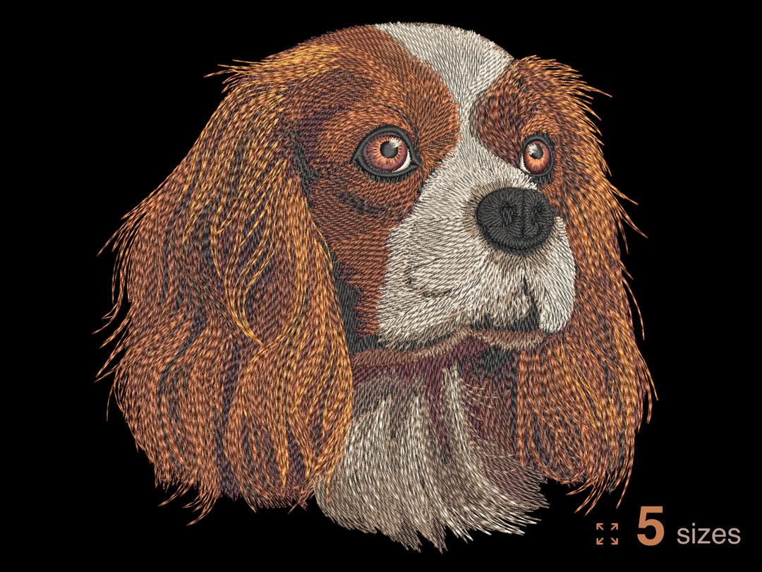 CAVALIER KING CHARLES Spaniel Machine Embroidery Design-instant ...