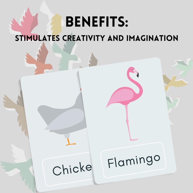 Birds Flashcards Preschool Learning Worksheets Printable Educational ...