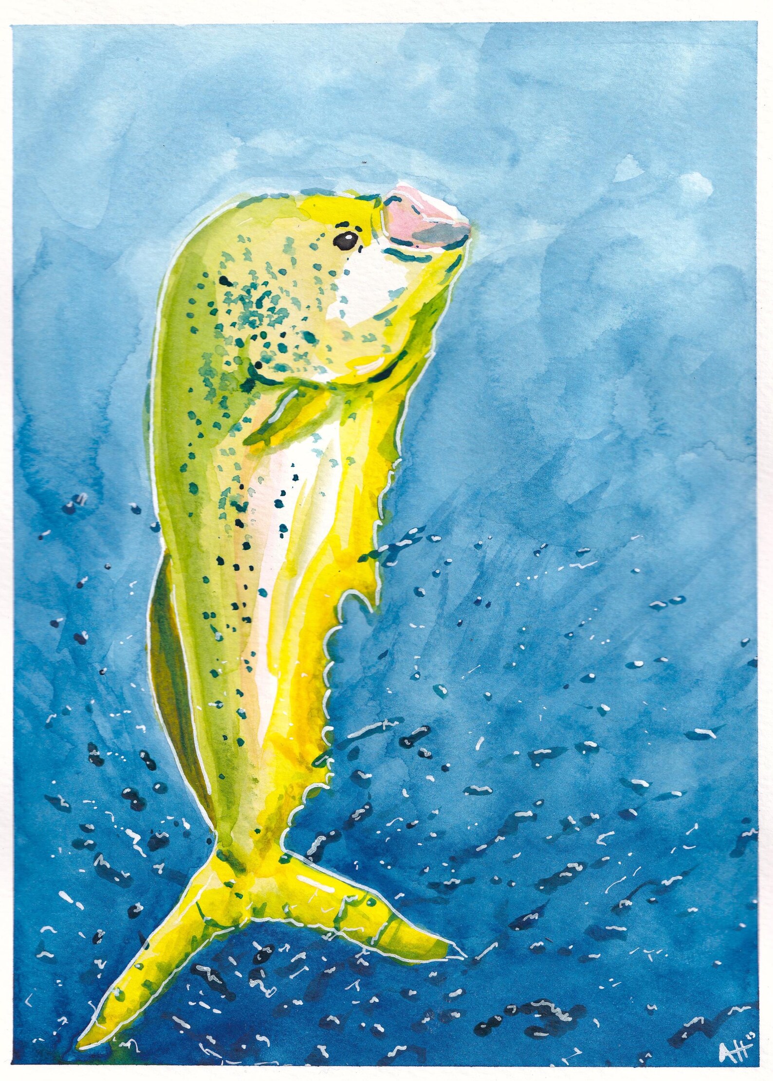 Printable Wildlife Mahi Mahi Wall Art Digital Download - Etsy