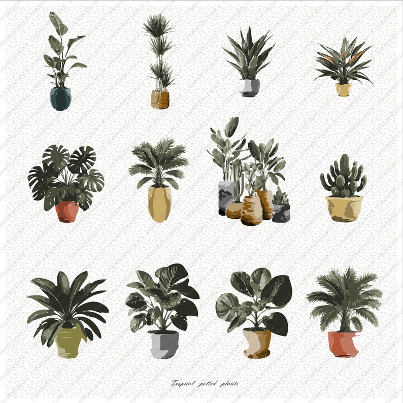 Tropical Potted Plants Clip Art Illustrator Vector Digital Drawing ...