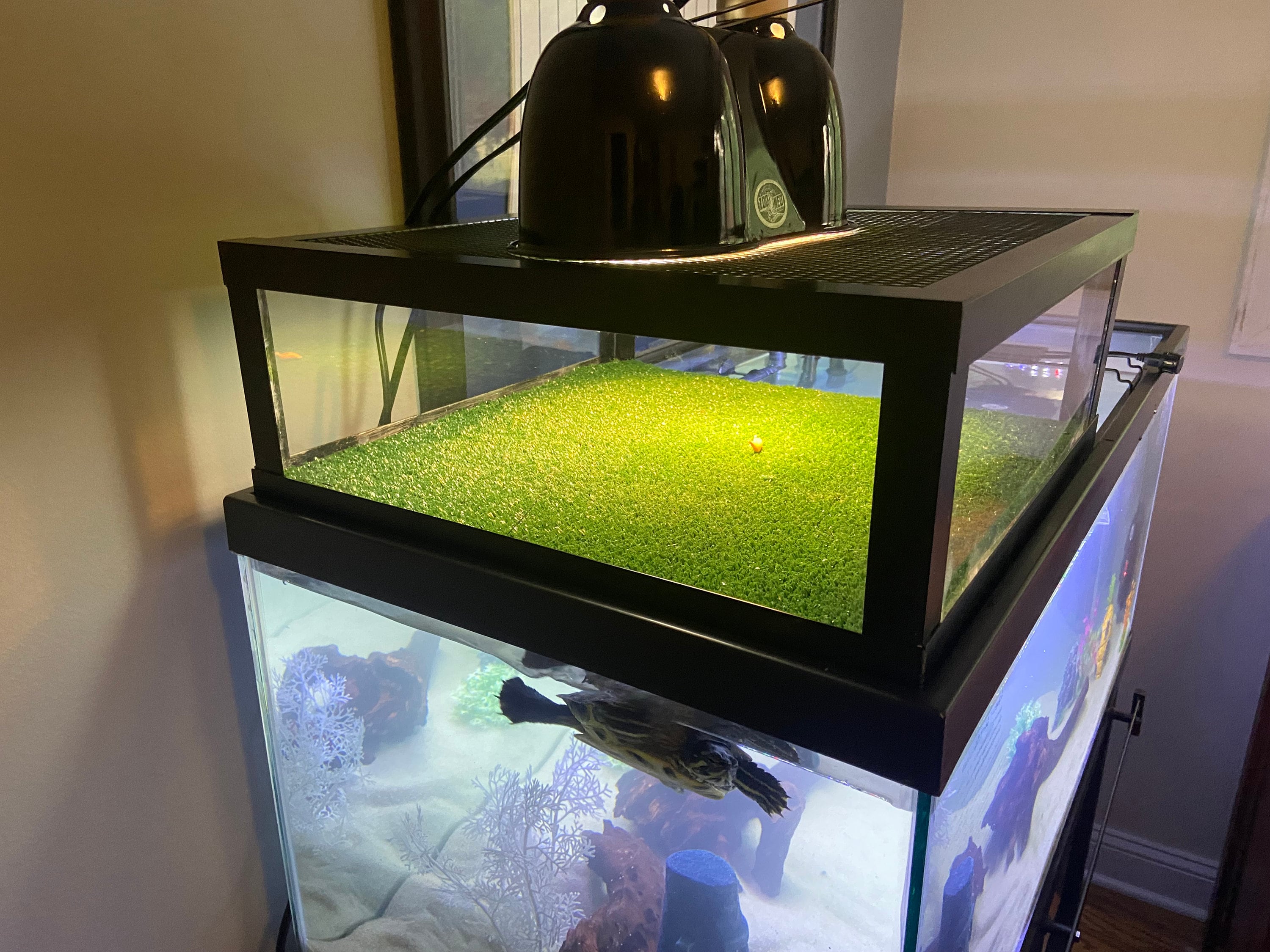 High Quality Turtle Basking Tank Platform - Etsy