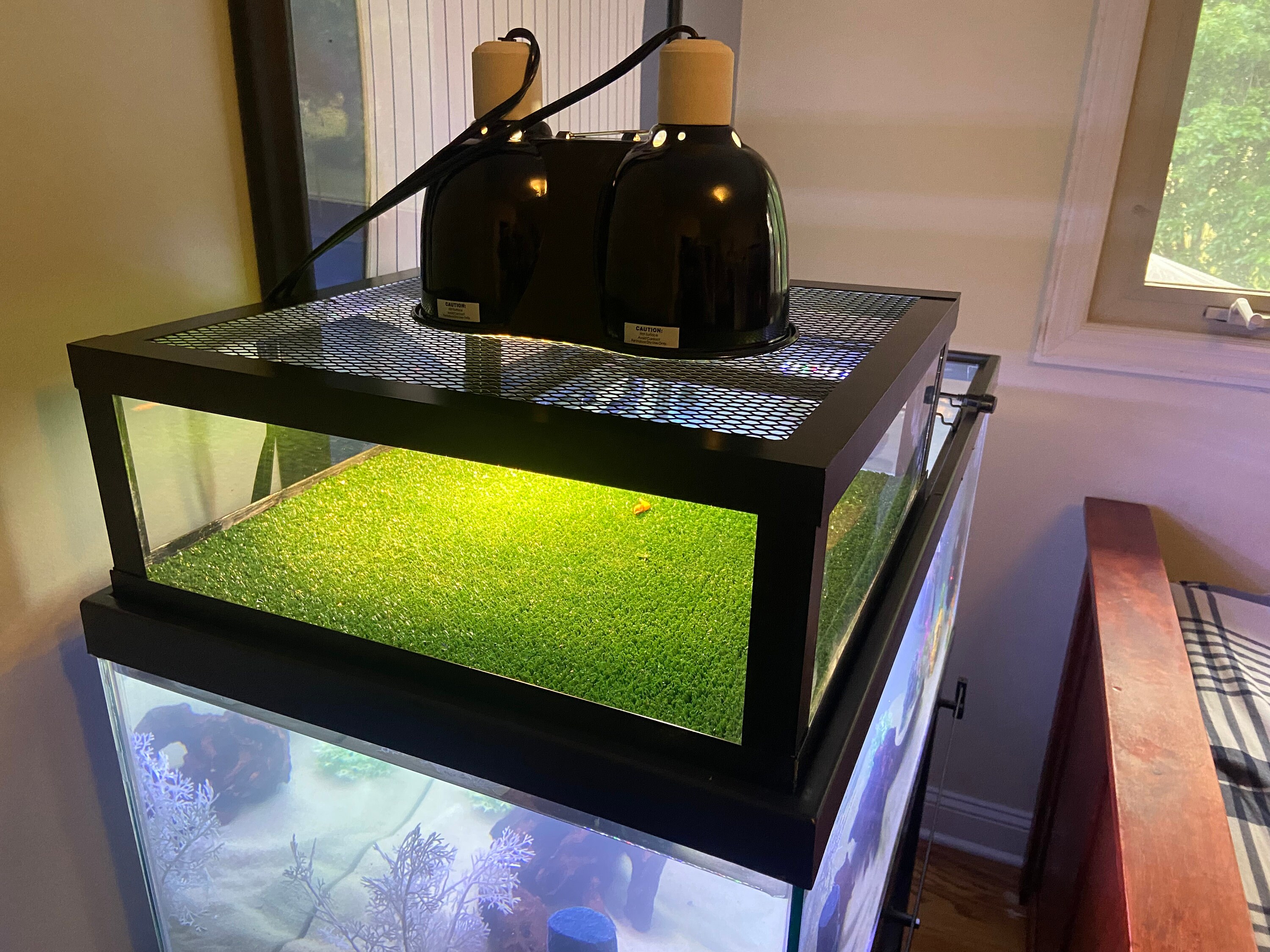 High Quality Turtle Basking Tank Platform - Etsy
