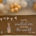 Peter Rabbit Hand Painted Sign - Etsy
