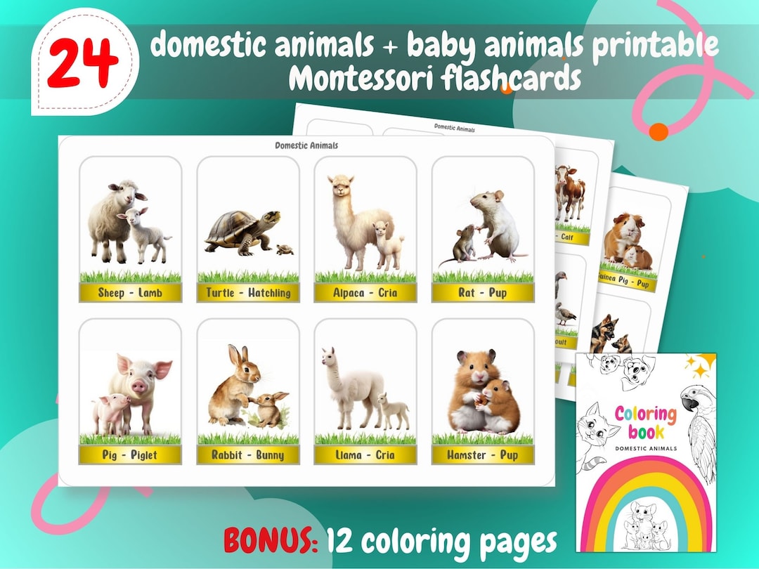 24 Printable Montessori Flashcards Domestic Animals, Farm Animals + 12 ...
