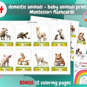 24 Printable Montessori Flashcards Domestic Animals, Farm Animals + 12 ...