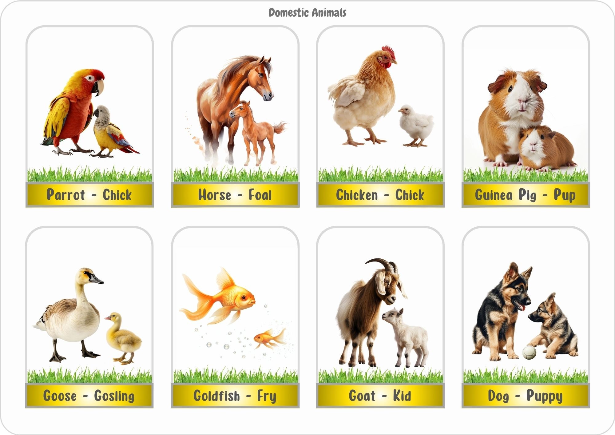 24 Printable Montessori Flashcards Domestic Animals, Farm Animals + 12 ...