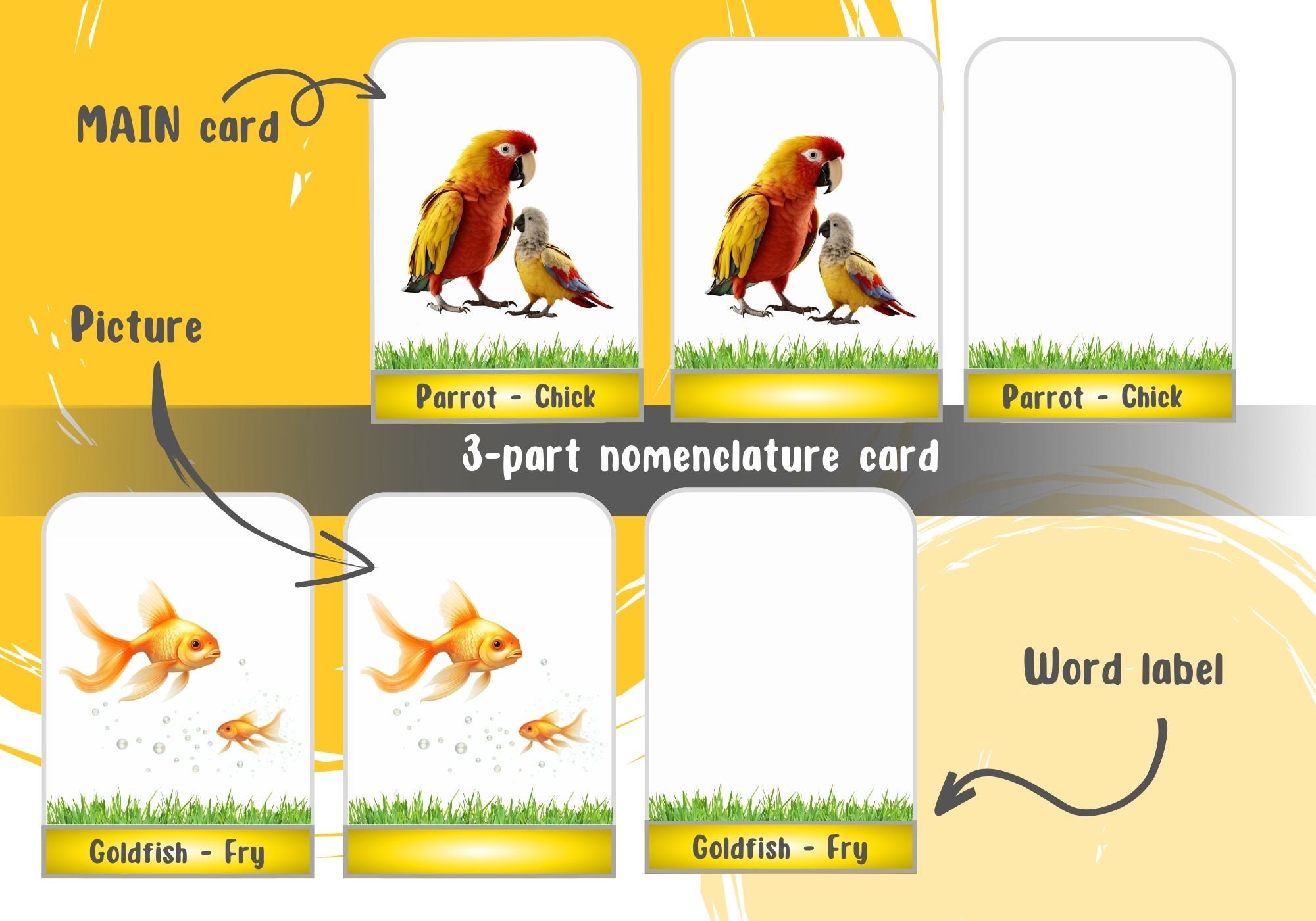 24 Printable Montessori Flashcards Domestic Animals, Farm Animals + 12 ...