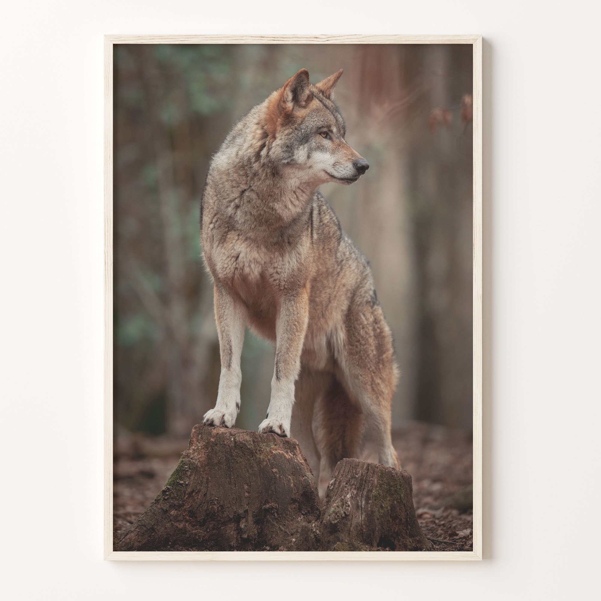 Wolf Colorful Poster Print, Wolf Photo Wall Art, Wall Art Boho Decor ...