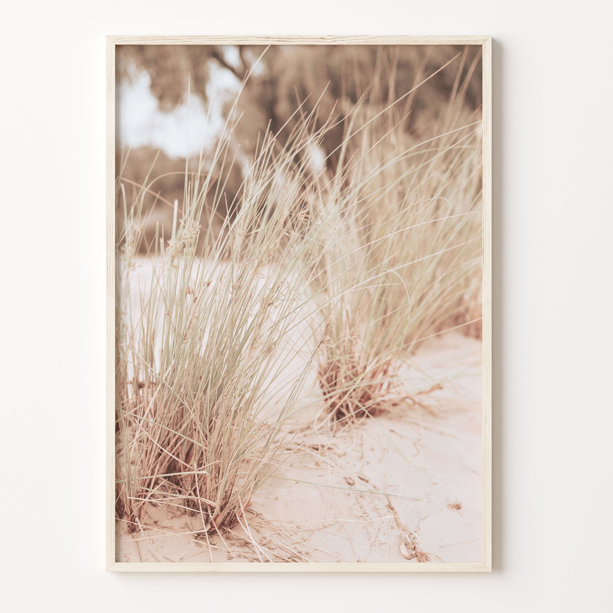 Grass Growing Wild Colorful Poster Print Grass Photo Wall - Etsy