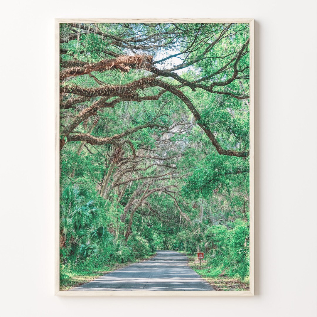 Gainesville Colorful Poster Print, Gainesville Photo Art, Wall Decor ...