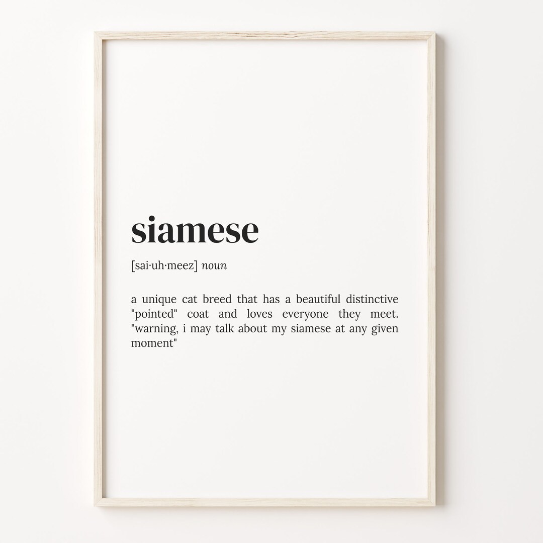 Siamese Cat Definition Print: Quote Wall Art - Etsy