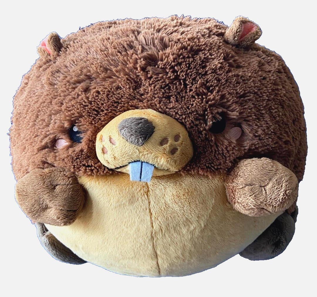 Rare Squishable 15 Beaver Retired Plush Jumbo Giant Kawaii Cute Pillow - Etsy