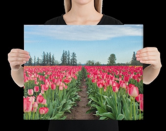 Field of Tulips Photo, Tulip Field Print, Tulip Field Canvas, Skagit ...