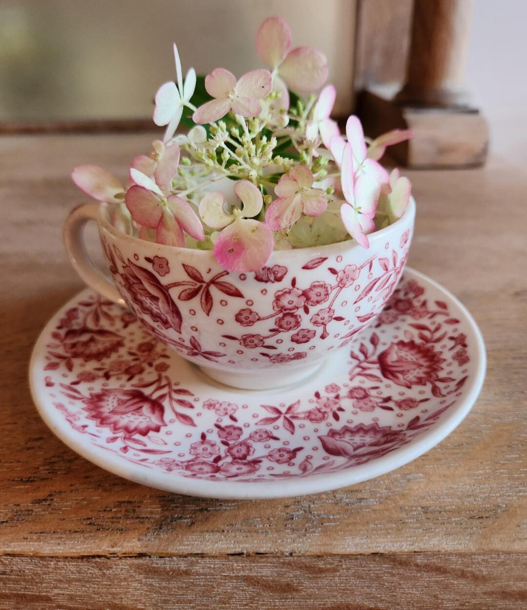 Carefree True China by Syracuse, Mayflower Pattern Tea Cup & Saucer - Etsy