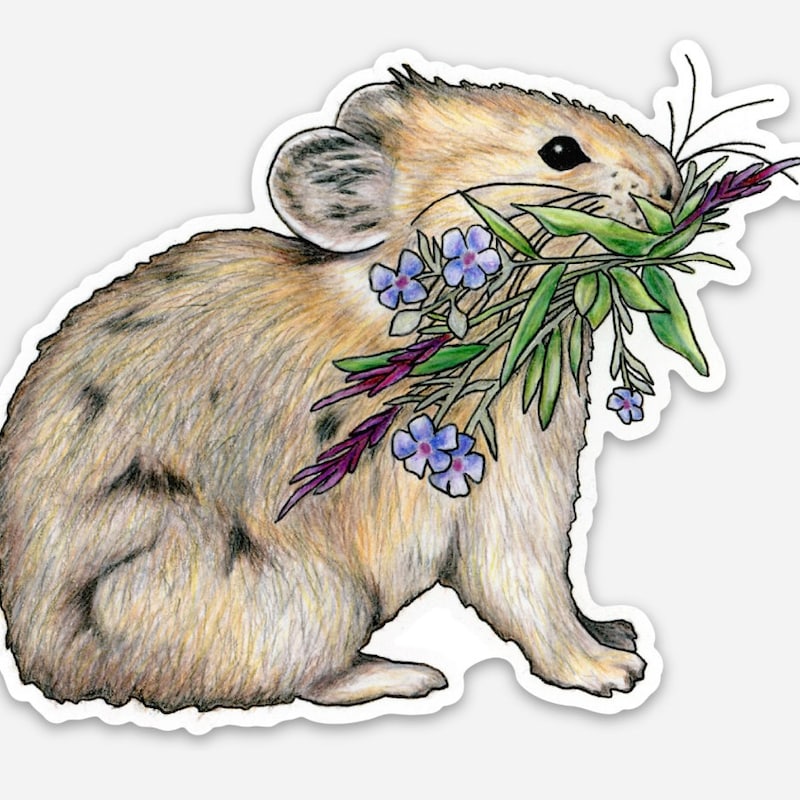 Pika - Etsy