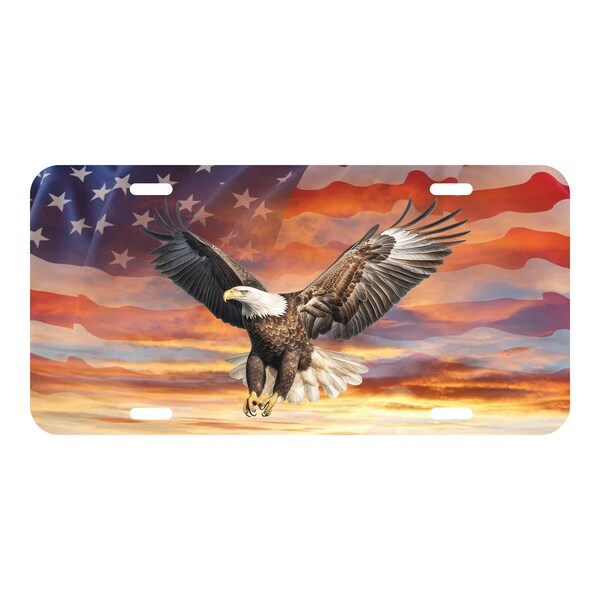 Patriotic Front License Plate - Etsy