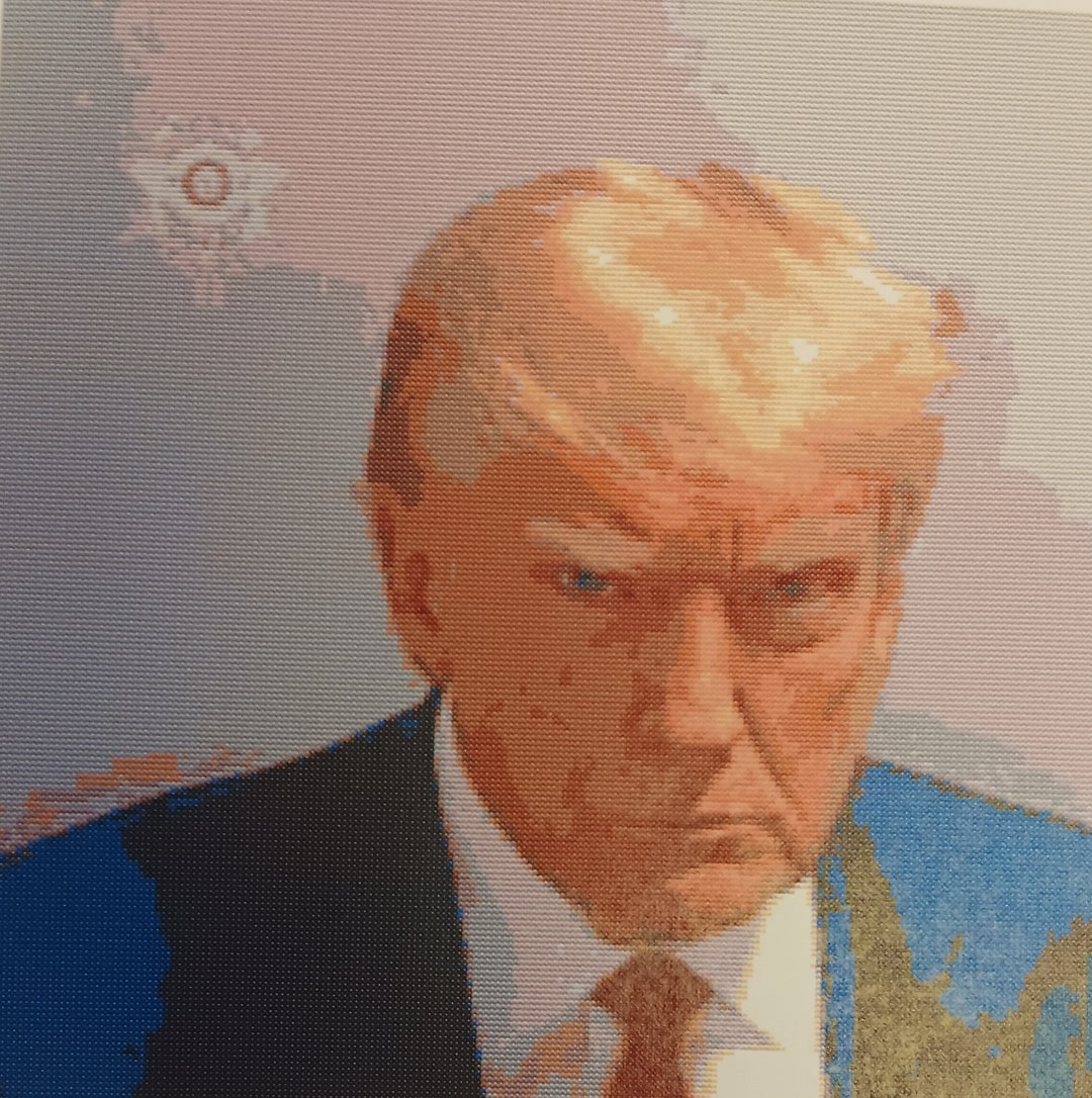 Trump Mugshot Cross Stitch Pattern - Etsy