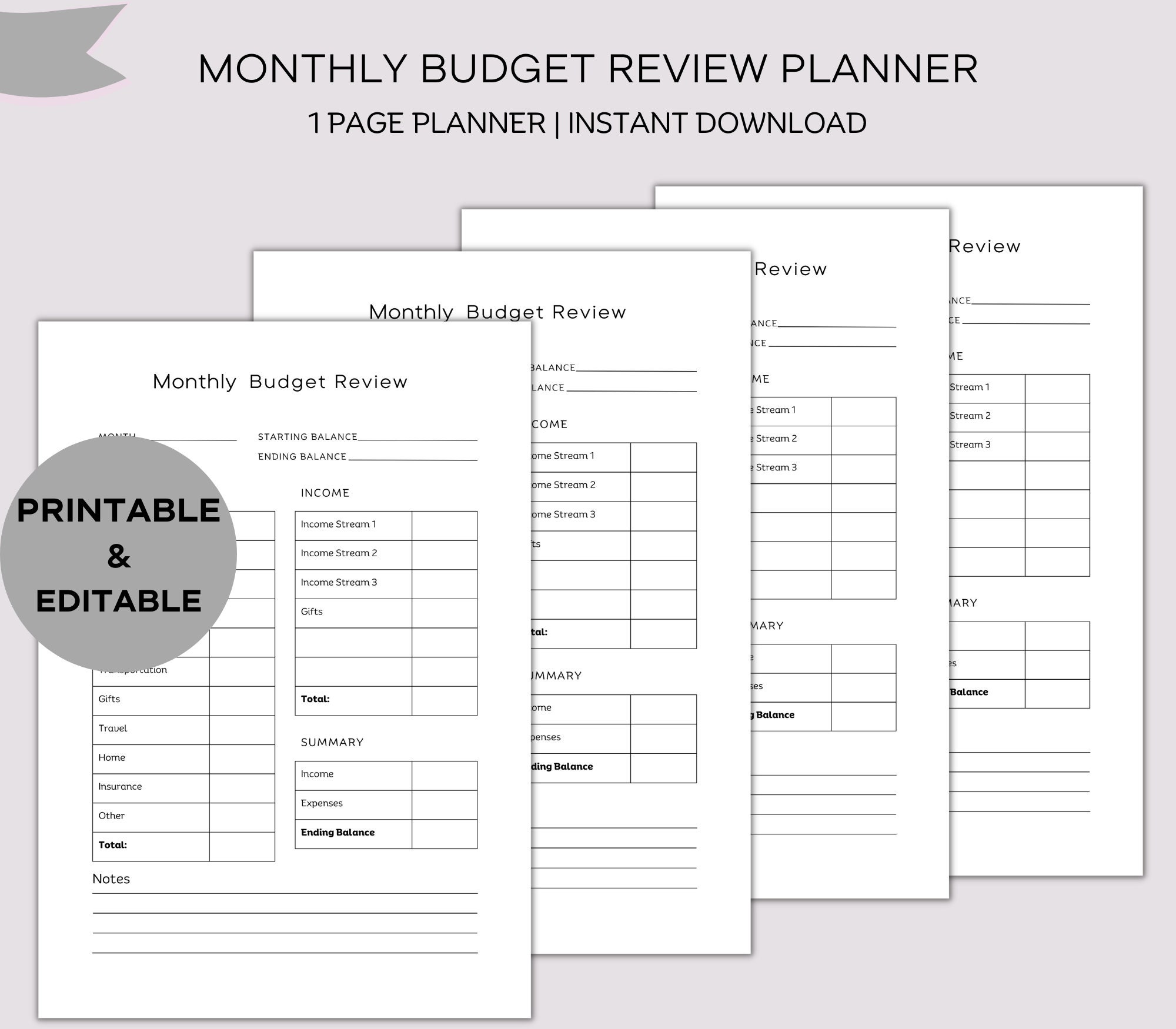Monthly Budget Review Printable Financial Review Monthly - Etsy