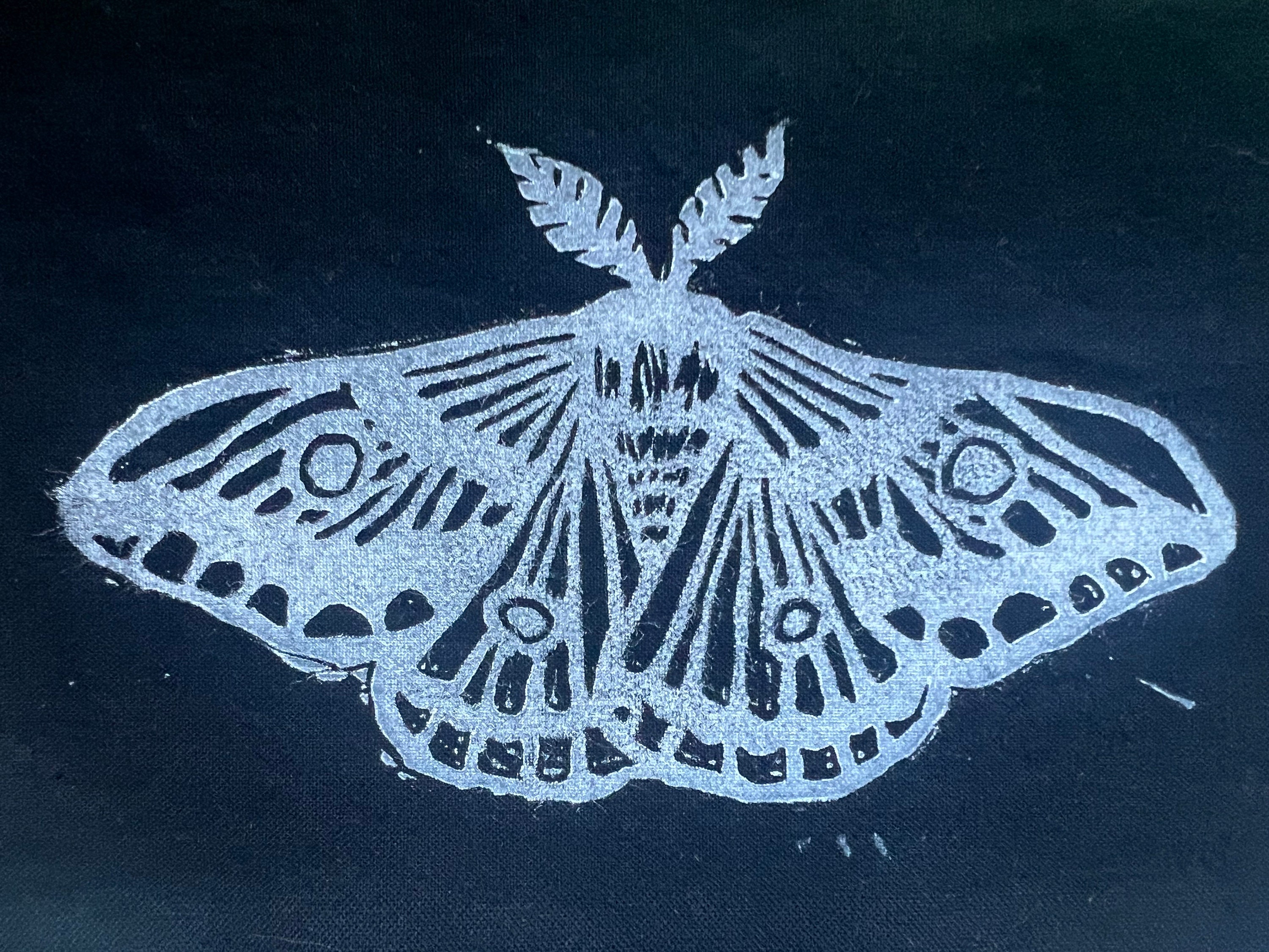 Moth Linocut Sew Patch Nature Insect Butterfly Bugs Block - Etsy Canada