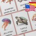 24 EMOTIONS Montessori Flashcards, Calming Down Corner Feelings Game ...