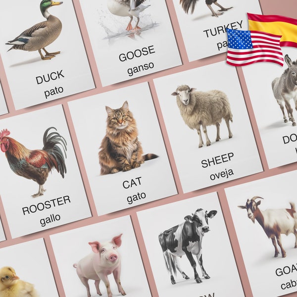 Animals Bilingual - Etsy