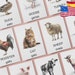 24 EMOTIONS Montessori Flashcards, Calming Down Corner Feelings Game ...
