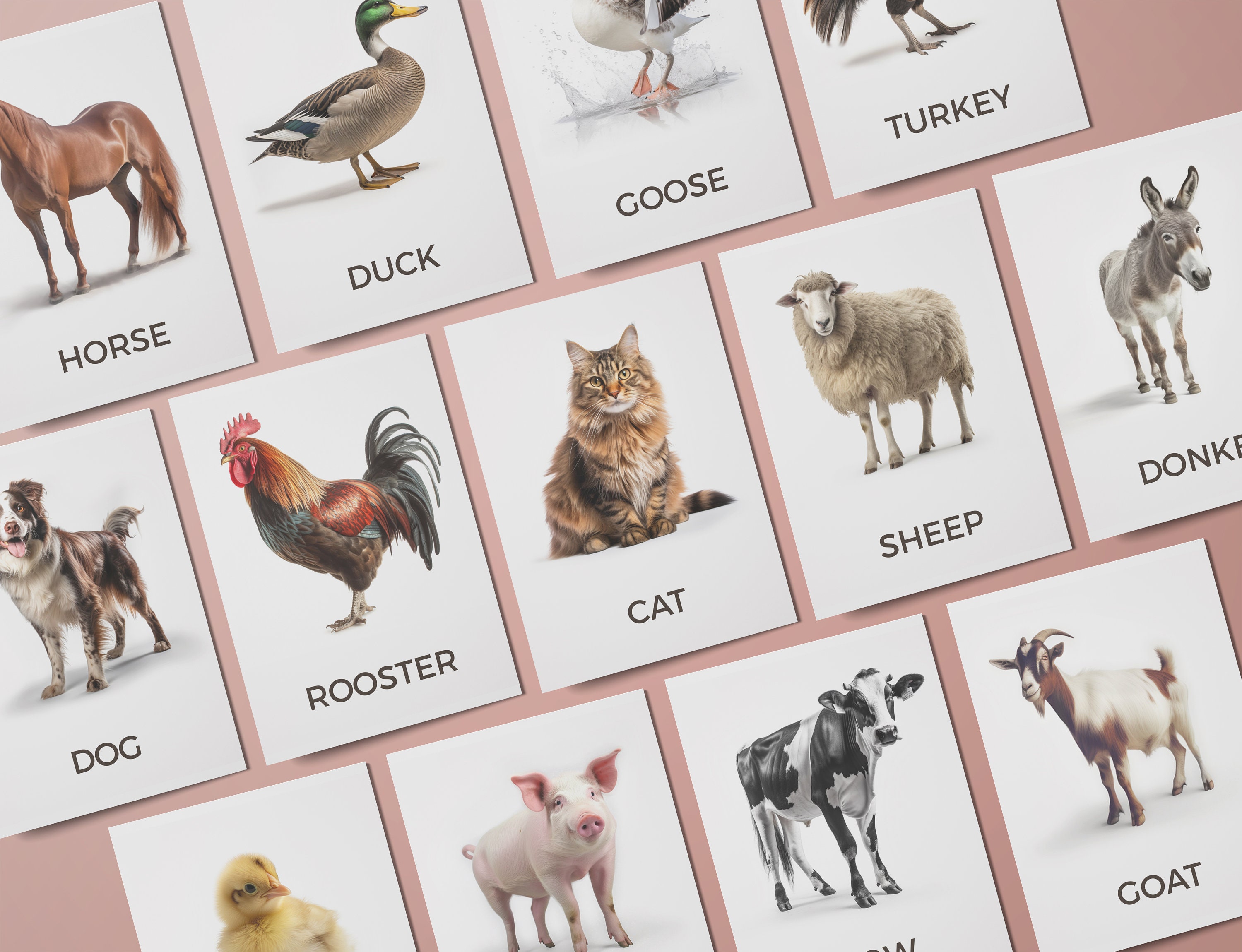 FARM ANIMALS, 16 Editable Montessori Cards, Real Pictures Flashcards ...