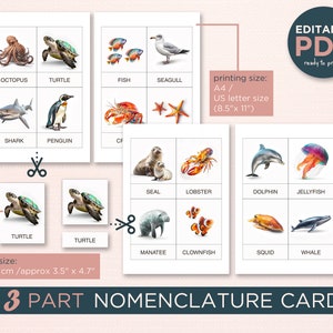 48 REAL ANIMALS Flashcards, Editable Card Bundle , Ocean Animal Photo ...