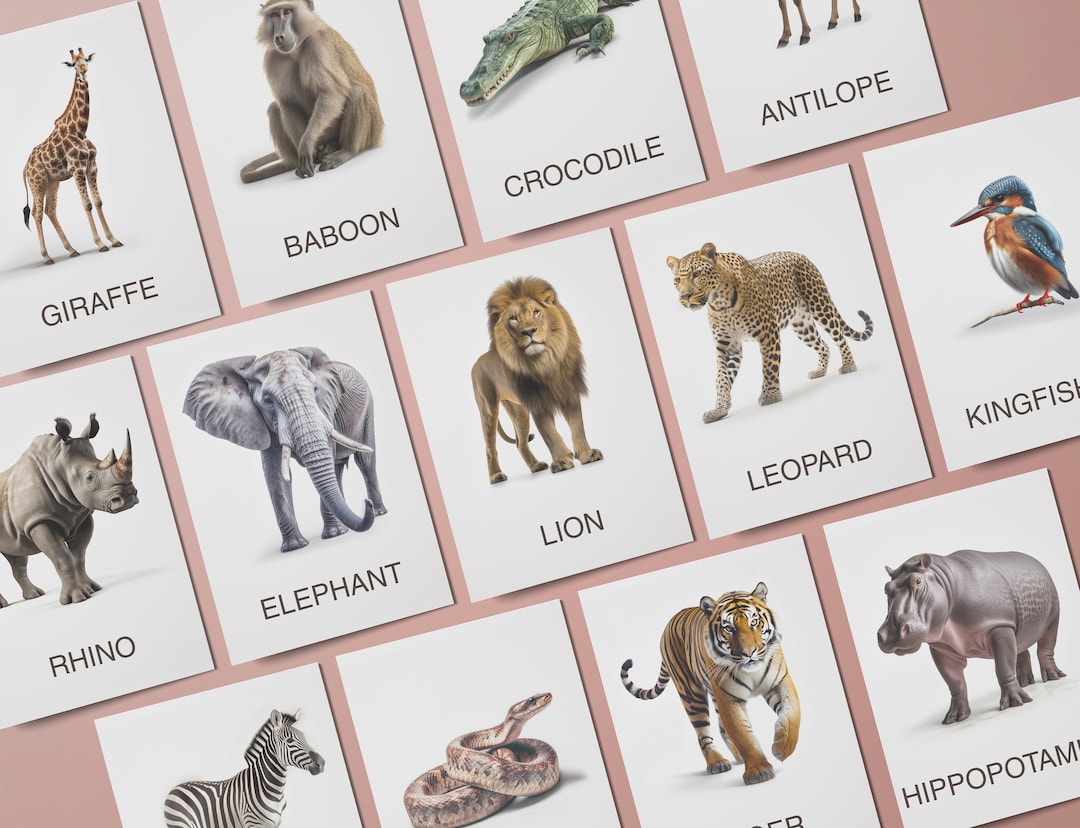 Montessori Safari Animal Flashcards - Home School Learning - Instant ...