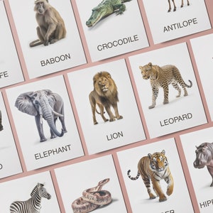 48 REAL ANIMALS Flashcards, Editable Card Bundle , Ocean Animal Photo ...