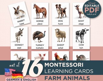 Autumn Vocabulary Flashcards Cursive and Print Homeschool - Etsy