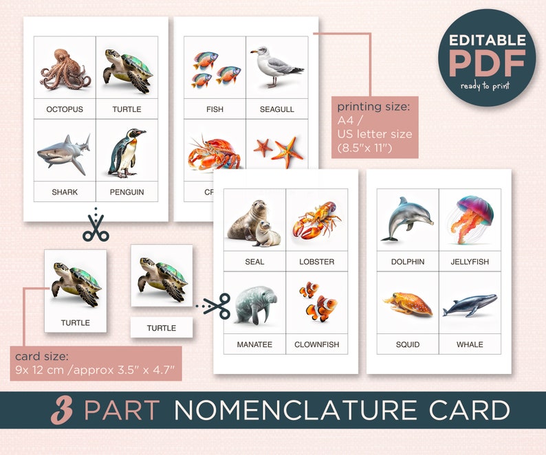 OCEAN ANIMALS, 16 Editable Montessori Cards, Real Pictures Flashcards ...
