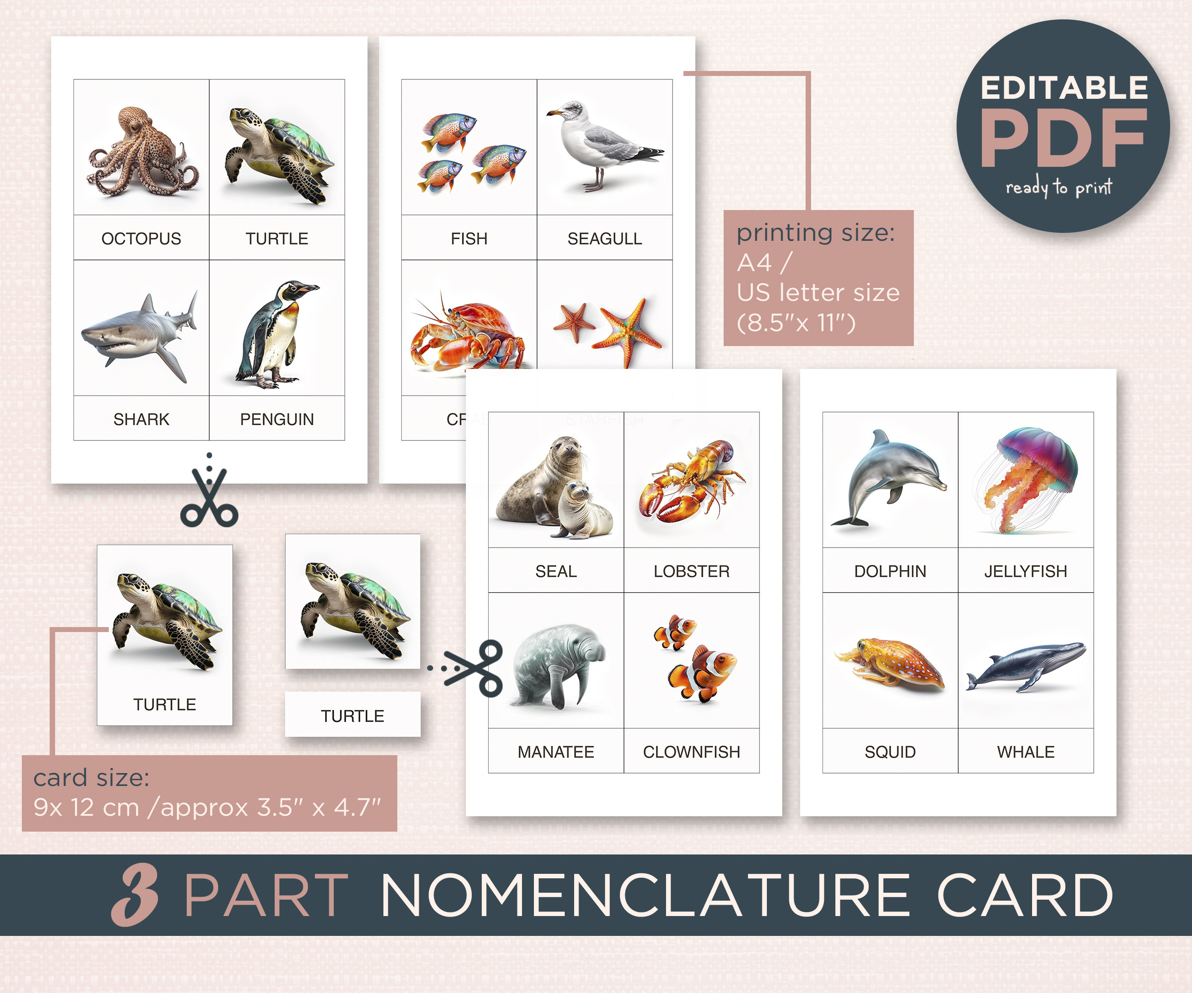 OCEAN ANIMALS, 16 Editable Montessori Cards, Real Pictures Flashcards ...