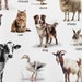 FARM ANIMALS (french), 16 Editable Montessori Cards, Real Pictures ...