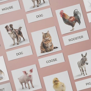 FARM ANIMALS, 16 Editable Montessori Cards, Real Pictures Flashcards ...