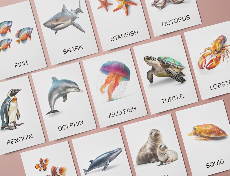 OCEAN ANIMALS, 16 Editable Montessori Cards, Real Pictures Flashcards ...