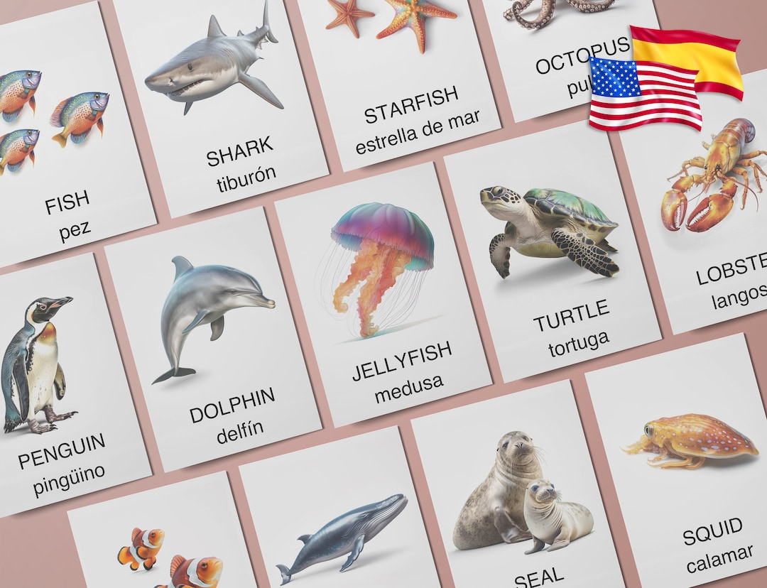 OCEAN ANIMALS SPANISH 16 Editable Montessori Real Ocean Animals ...