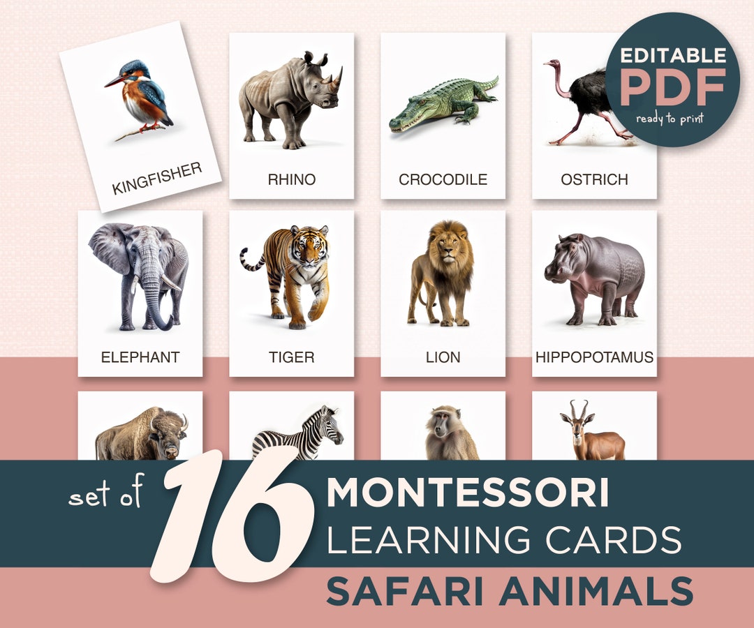 SAFARI ANIMALS, 16 Editable Montessori Cards Real Pictures Flashcards ...