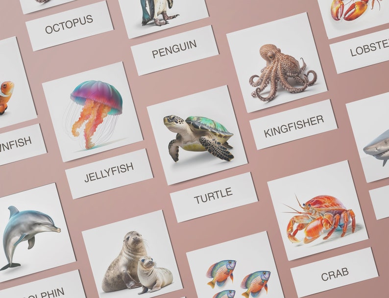 OCEAN ANIMALS, 16 Editable Montessori Cards, Real Pictures Flashcards ...