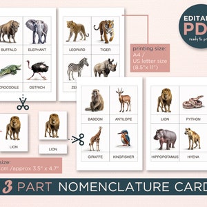 48 REAL ANIMALS Flashcards, Editable Card Bundle , Ocean Animal Photo ...