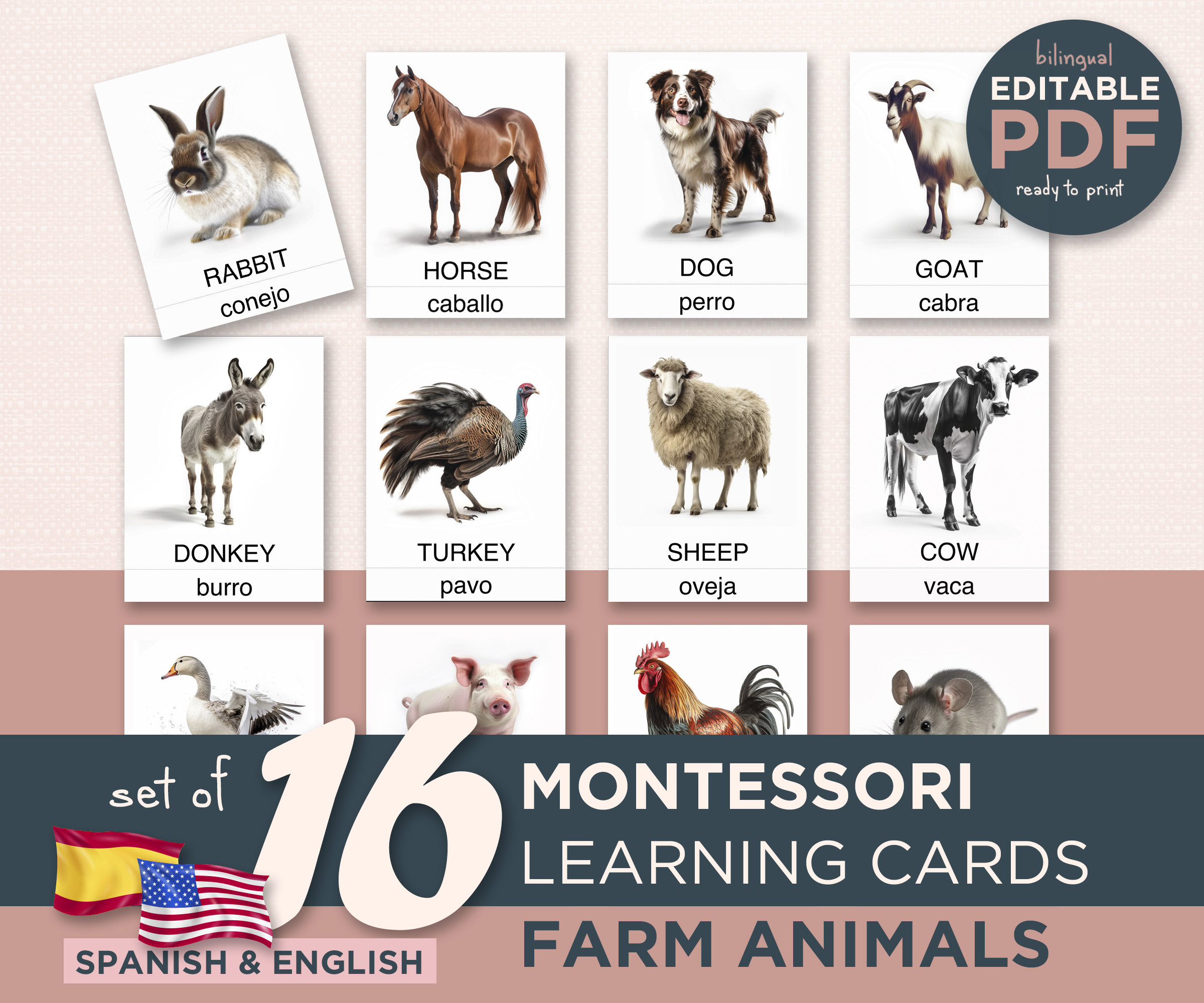FARM ANIMALS spanish 16 Custom Montessori Cards Real Pictures ...