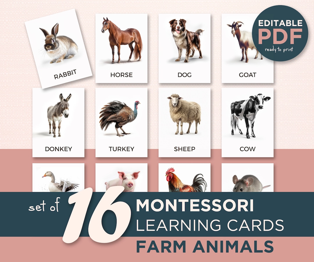 FARM ANIMALS, 16 Editable Montessori Cards, Real Pictures Flashcards ...
