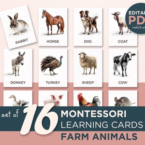 FARM ANIMALS, 16 Editable Montessori Cards, Real Pictures Flashcards ...