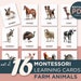 FARM ANIMALS, 16 Editable Montessori Cards, Real Pictures Flashcards ...