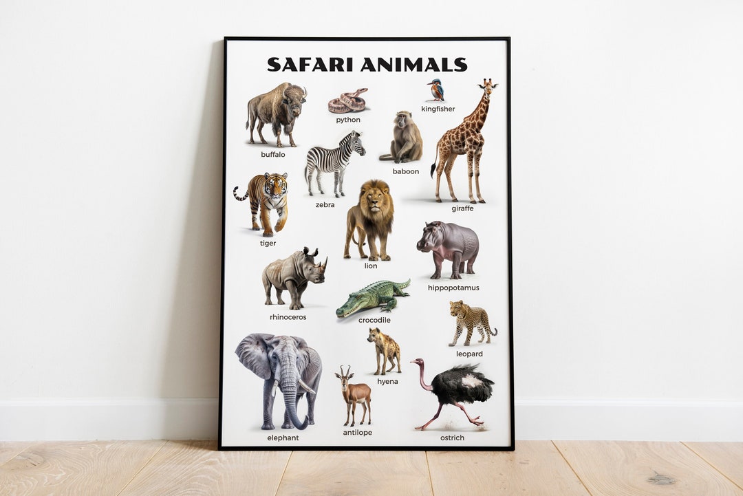 Montessori SAFARI ANIMALS, Montessori Poster, Playroom Wall Decor ...