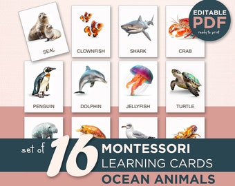 50 Sea Animals Cards Montessori Flash Cards Pre-school - Etsy