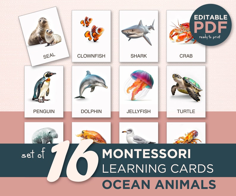 OCEAN ANIMALS, 16 Editable Montessori Cards, Real Pictures Flashcards ...