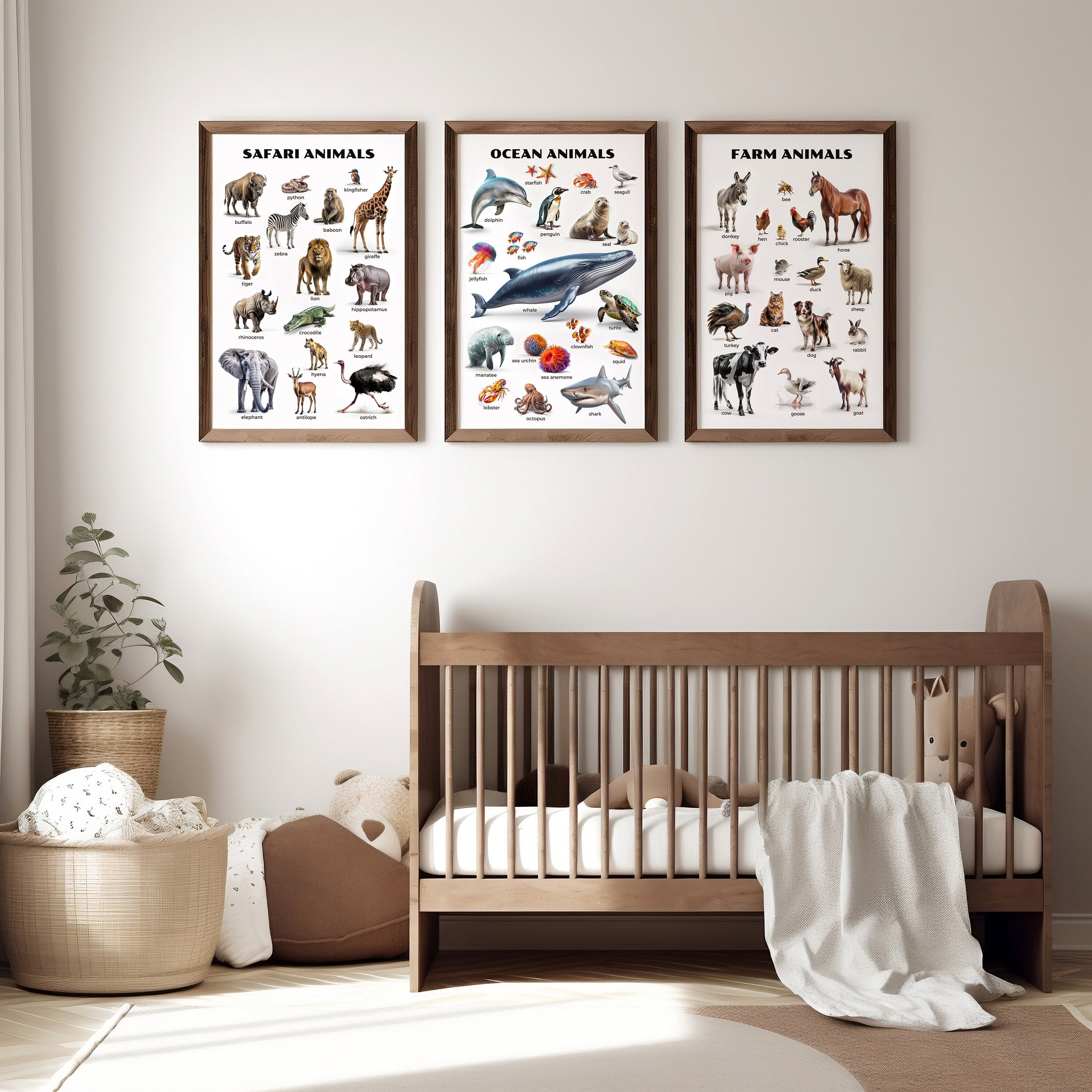 Montessori Animal Poster, Real Animal Photo, Classroom Decor ...