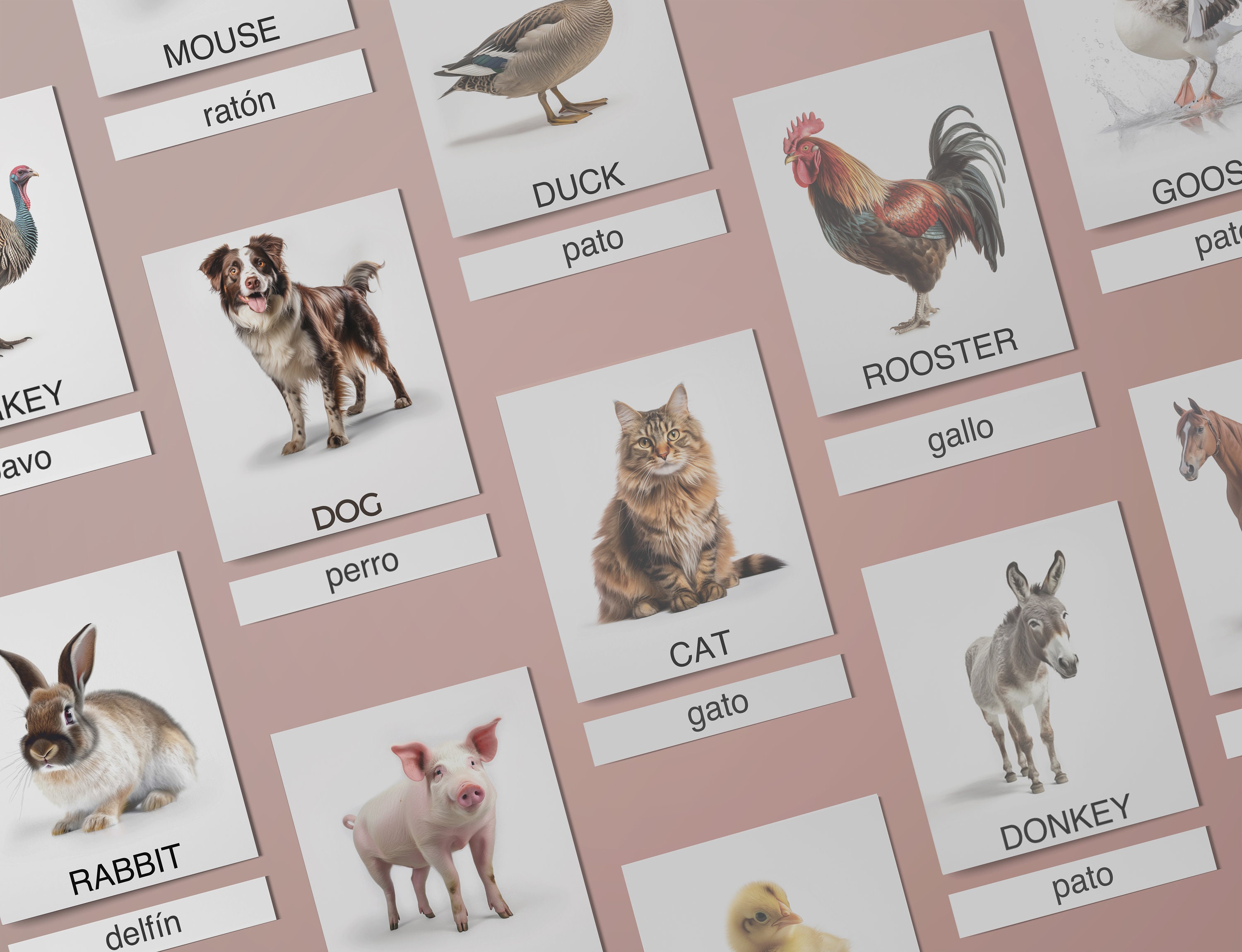 FARM ANIMALS spanish 16 Custom Montessori Cards Real Pictures ...